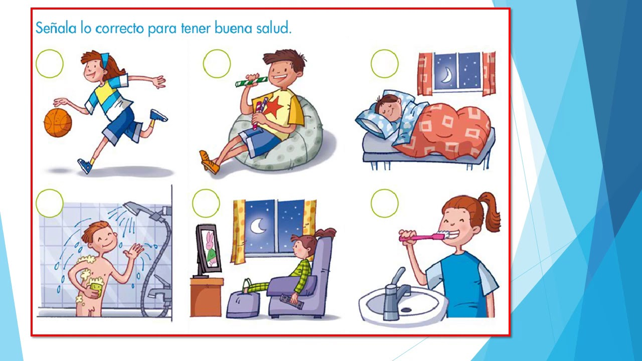 ¿Cómo Podemos Cuidar Nuestro Cuerpo?